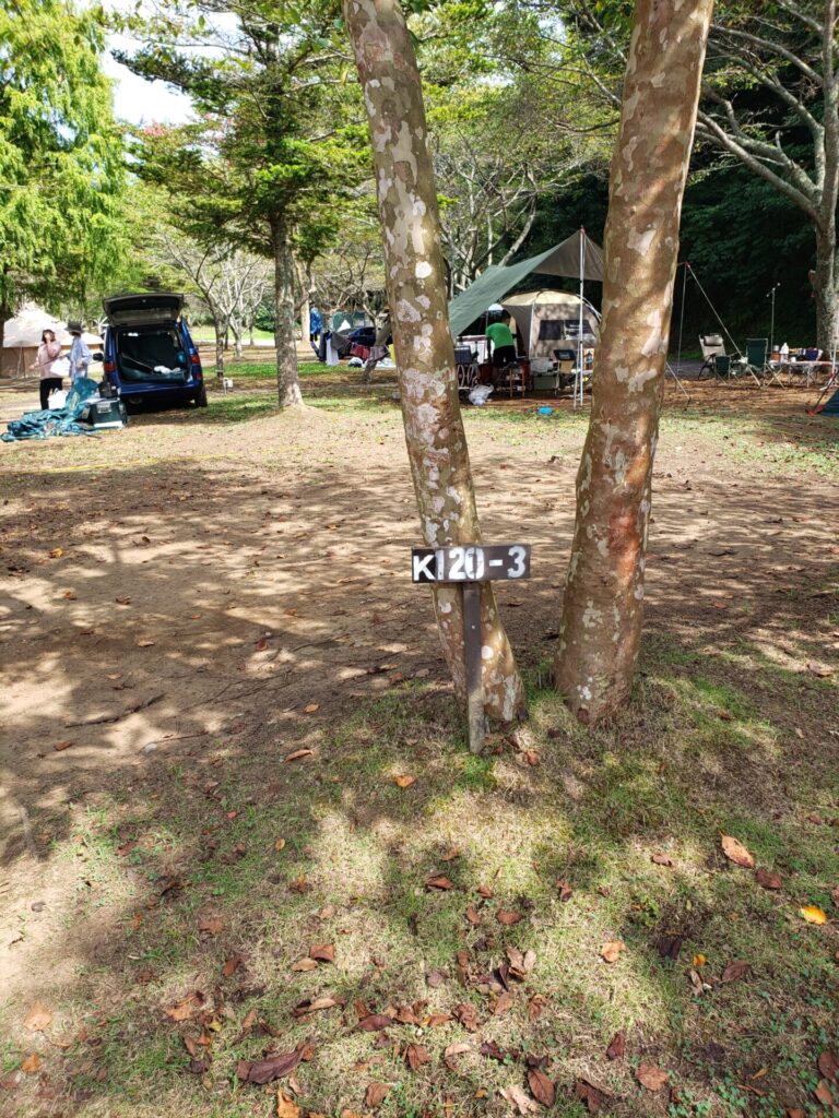 【千葉県】ReCamp勝浦紹介【千葉の避暑地、勝浦にあるファミリーキャンプ場】｜はゆみのパパ冒険記